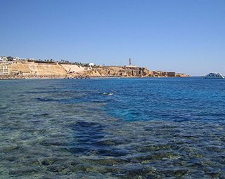 Vakantie El Hadaba: zonvakanties en aanbiedingen op Royal.nl